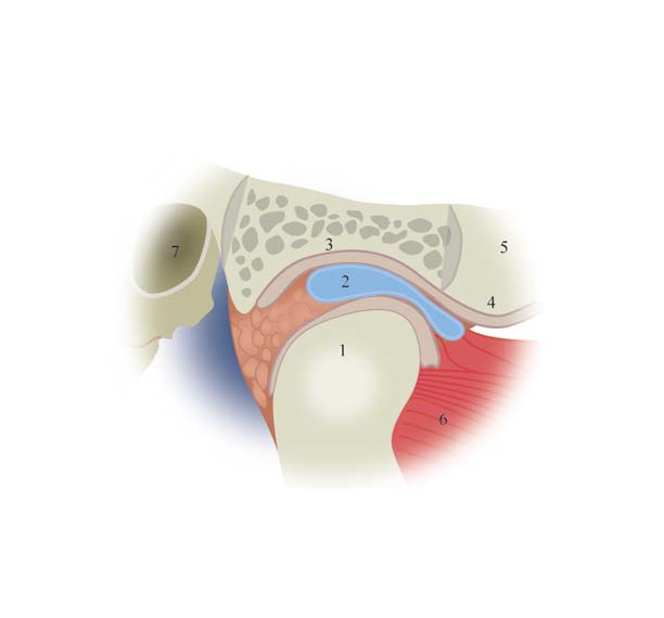 Afwijkingen van het kaakgewricht | SpringerLink