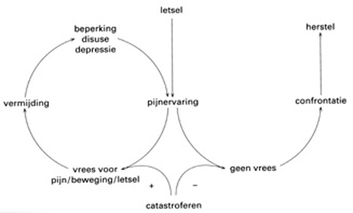 Vrees voor beweging/letsel, vermijding en chronische rugpijn | SpringerLink