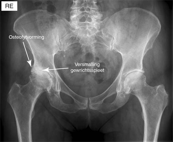 Inleiding | SpringerLink