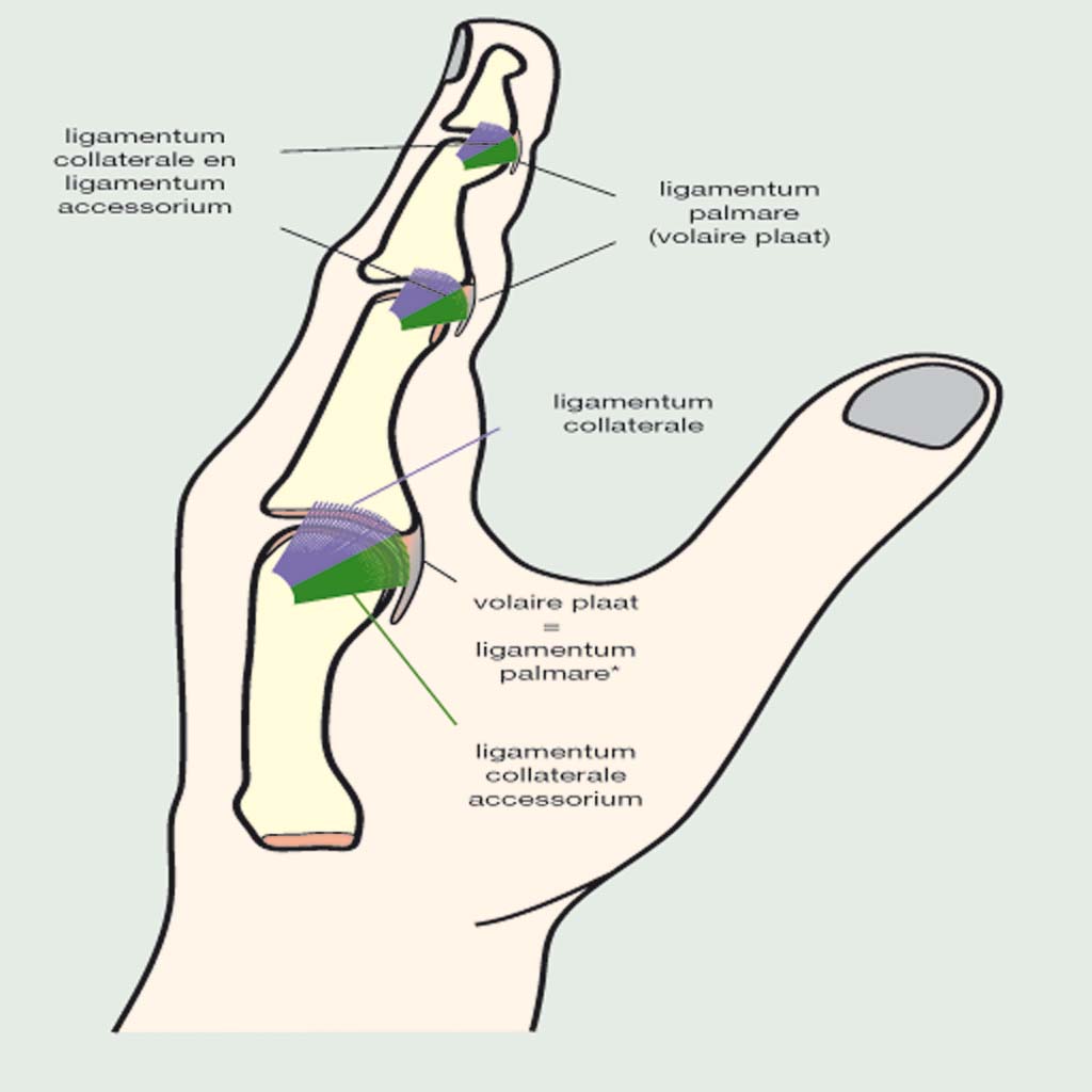 Inleiding | SpringerLink