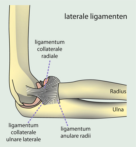 Inleiding | SpringerLink