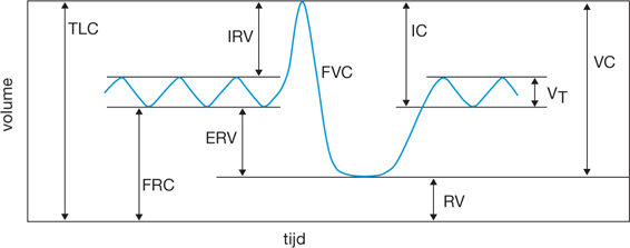 2 Statische longvolumes | SpringerLink