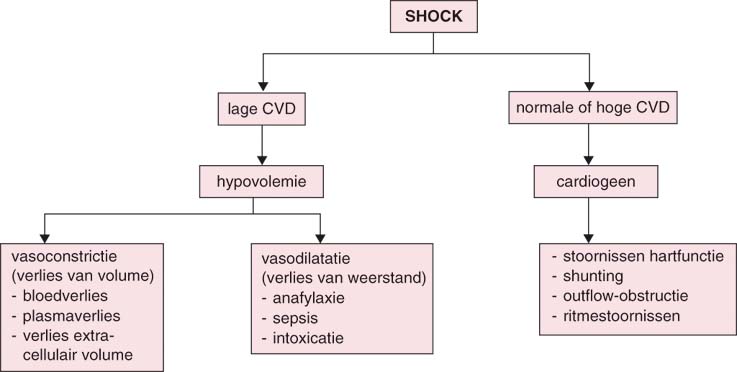 4 Shock | SpringerLink