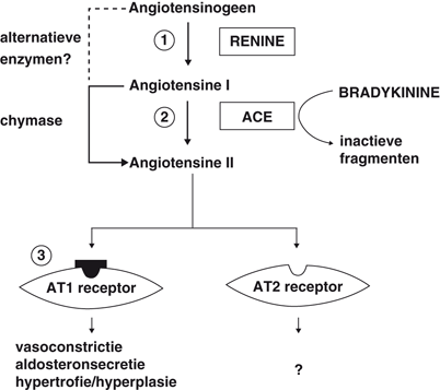 Angiotensine-II-receptorantagonisten en directe renineremmers ...