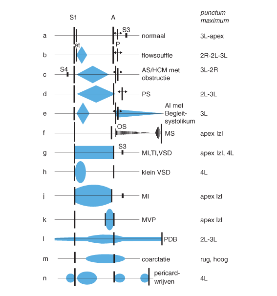 Onderzoek van hart en vaten | SpringerLink