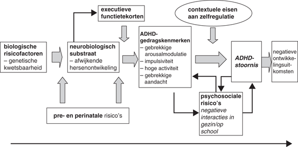Stoornissen in de aandacht en impulsregulatie | SpringerLink