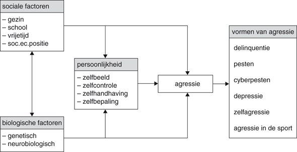 Theorieën over agressie | SpringerLink