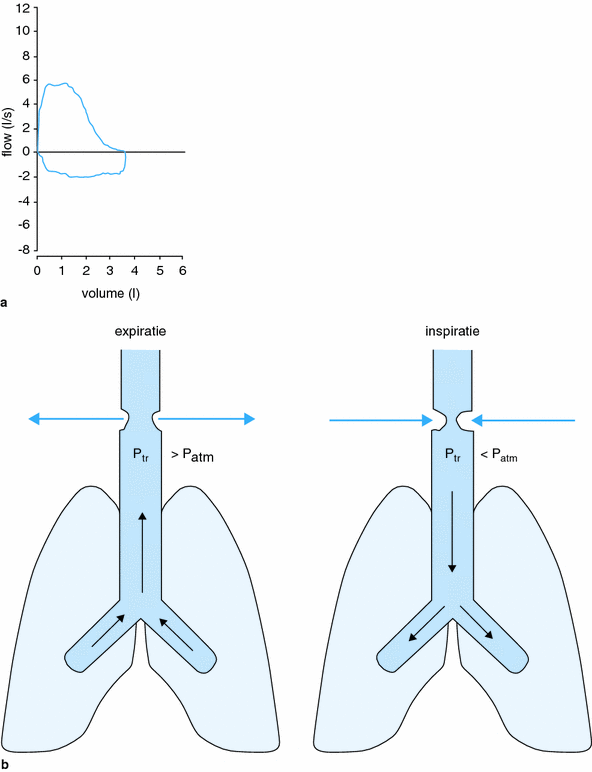Spirometrie; dynamische longvolumes | SpringerLink