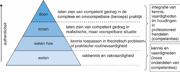 Toetsen van competenties | SpringerLink