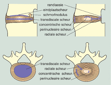 Inleiding | SpringerLink