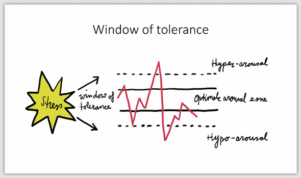 Module 3: Begrijpen van de effecten van trauma | SpringerLink