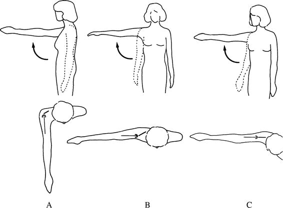 14 Biomechanica van de schouder | SpringerLink