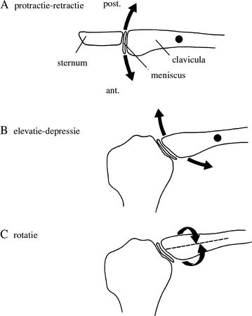 14 Biomechanica van de schouder | SpringerLink