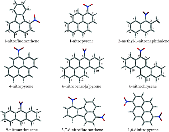Structure–Activity Relationships in Nitro-Aromatic Compounds | SpringerLink