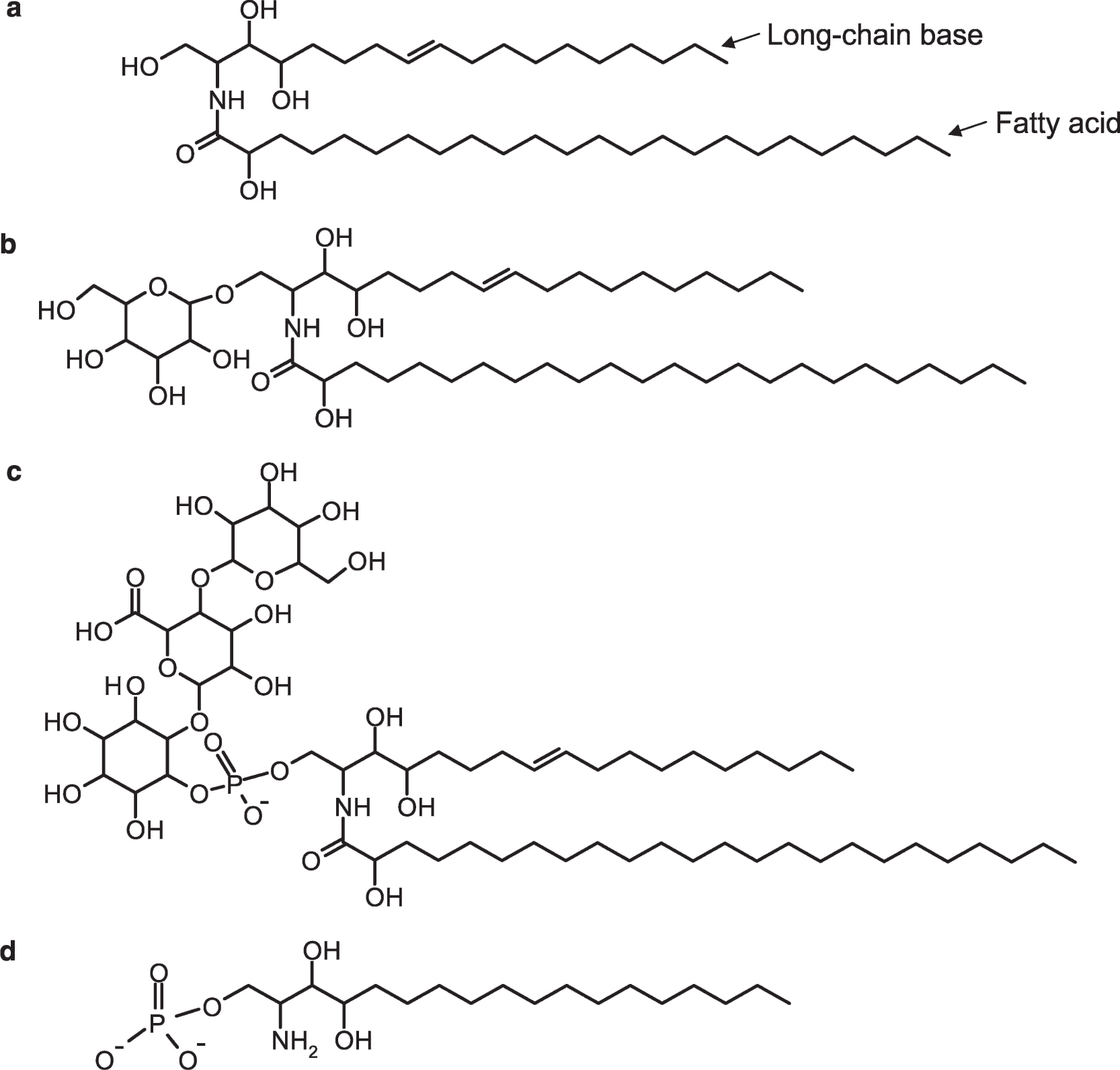 Plant Sphingolipids: Structure, Synthesis and Function | SpringerLink