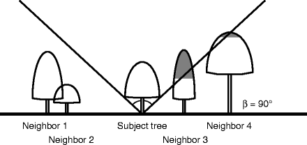Indices of Individual-Tree Competition | SpringerLink