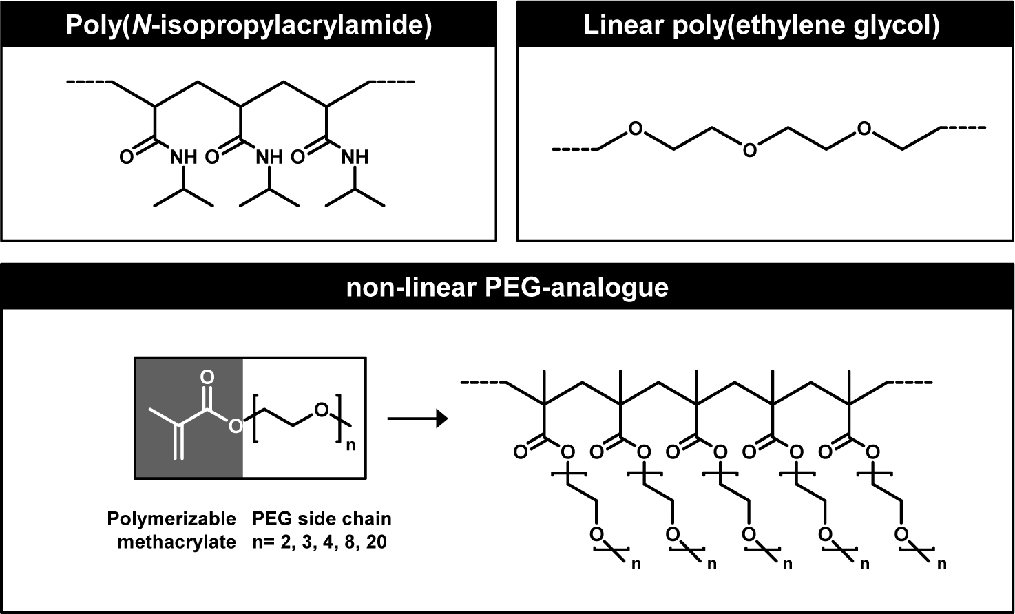 Synthesis of Smart Materials by ATRP of Oligo(Ethylene Glycol ...