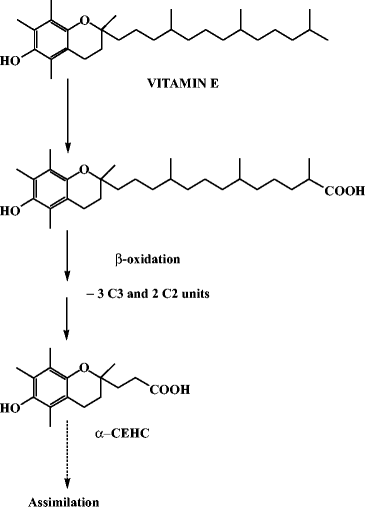 Aerobic Metabolism of Vitamin E by Marine Bacteria: Interaction with ...