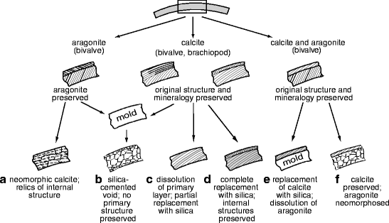 Silicification Through Time | SpringerLink