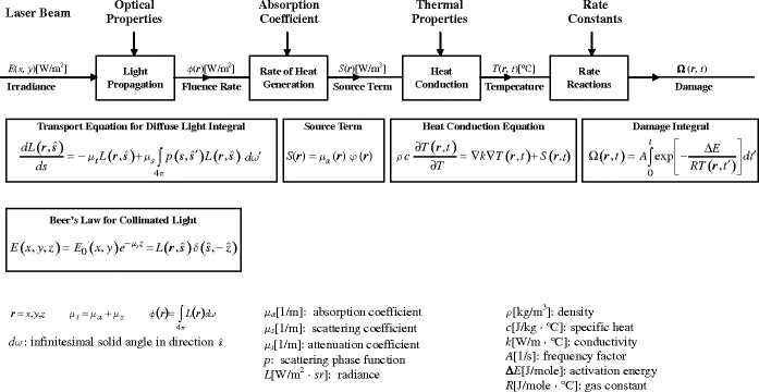 Overview of Optical and Thermal Laser-Tissue Interaction and Nomenclature | SpringerLink
