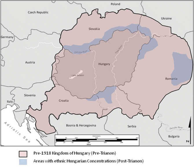 The Demography of Race and Ethnicity in Hungary | SpringerLink