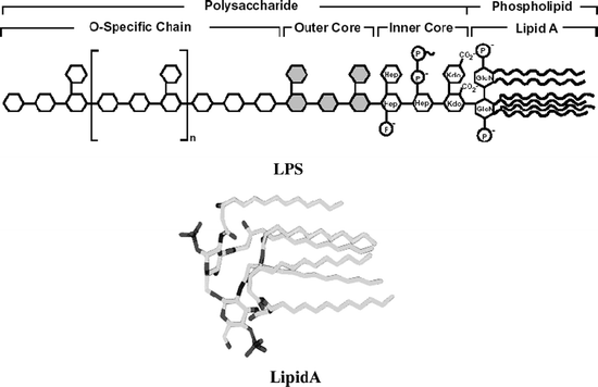Endotoxin Detection – from Limulus Amebocyte Lysate to Recombinant ...