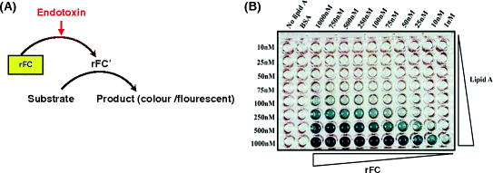 Endotoxin Detection – from Limulus Amebocyte Lysate to Recombinant ...