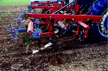 Mechanical Weed Control | SpringerLink