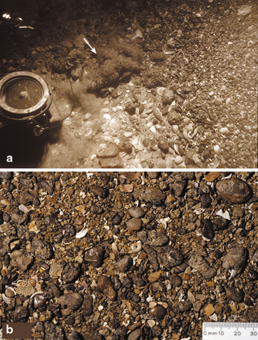 Neritic Depositional Environments | SpringerLink