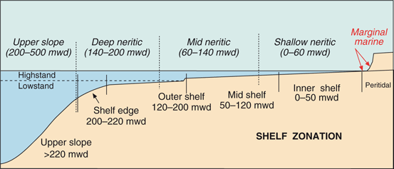 Neritic Depositional Environments | SpringerLink