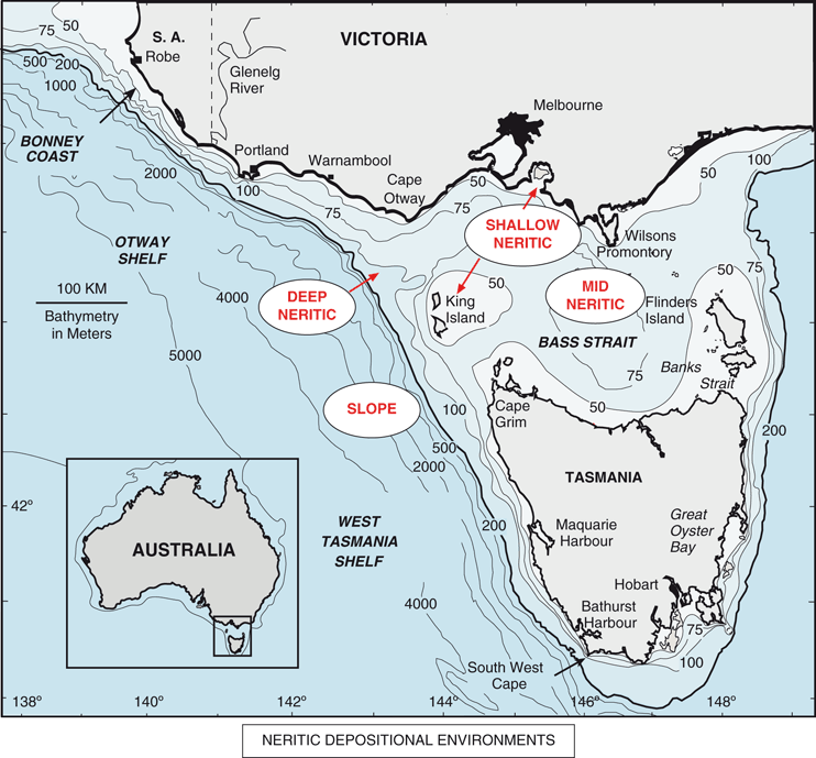 Neritic Depositional Environments | SpringerLink