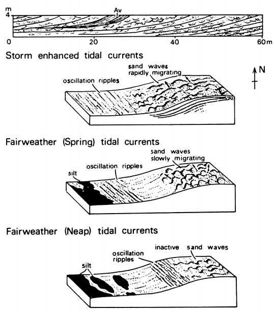 Shallow-Marine Tidal Deposits | SpringerLink