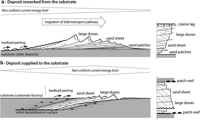 Shallow-Marine Tidal Deposits | SpringerLink
