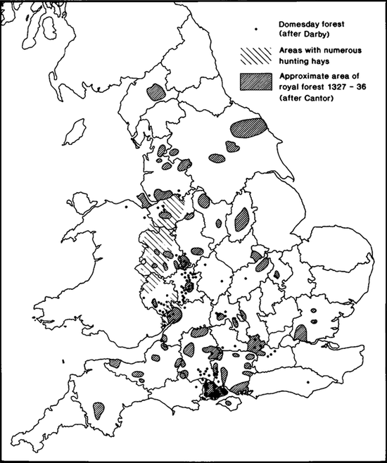 Royal Forests – Hunting and Other Forest Use in Medieval England ...