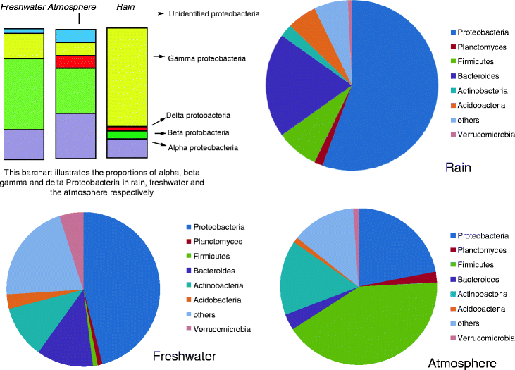 Ecology of Microorganisms in Freshwater | SpringerLink