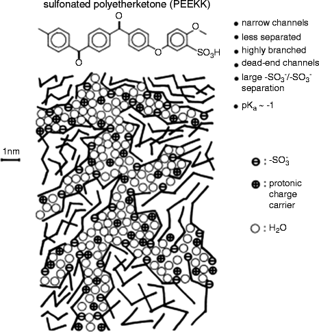 Sulfonated Poly(Ether Ether Ketone) (SPEEK): A Promising Membrane ...