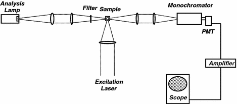 Transient Absorption Spectroscopy | SpringerLink