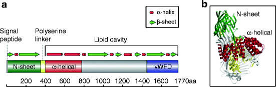 Vitellogenin in Honey Bee Behavior and Lifespan | SpringerLink