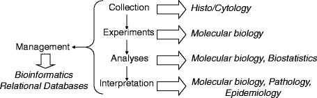 Laboratory Methods in Epigenetic Epidemiology | SpringerLink