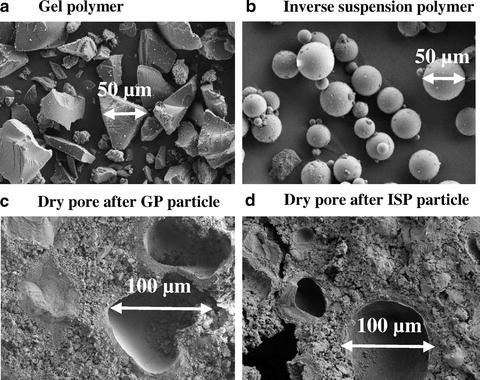 Superabsorbent Polymers (SAP) | SpringerLink