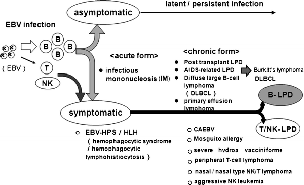 Current Diagnosis and Treatment Strategy for Chronic Active Epstein ...