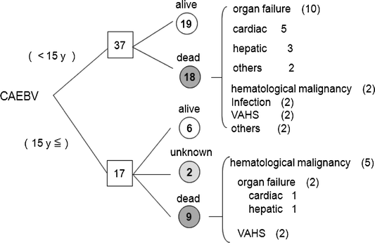 Current Diagnosis and Treatment Strategy for Chronic Active Epstein ...