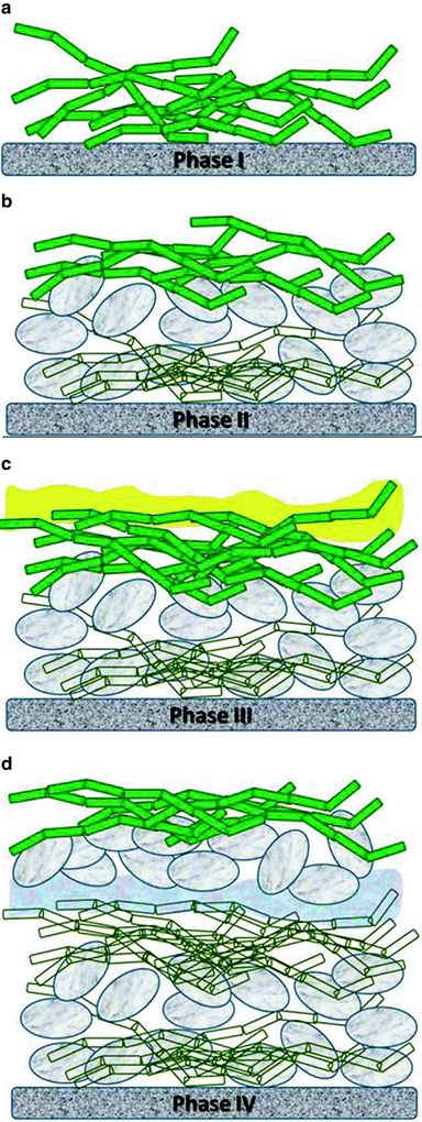 Cyanobacterial Mats and Stromatolites | SpringerLink