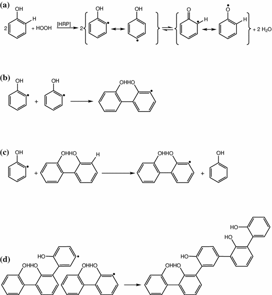 Enzymatic Polymerization of Phenolic Compounds by Oxidoreductases ...
