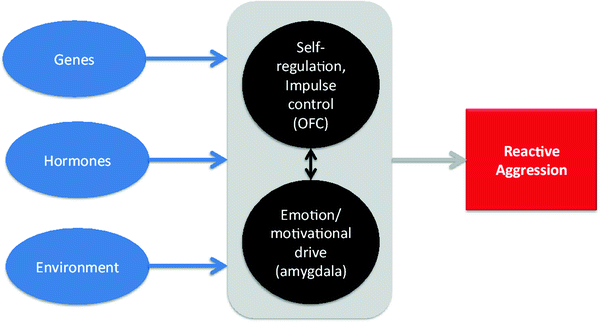 Genetic, Hormonal, and Neural Underpinnings of Human Aggressive ...