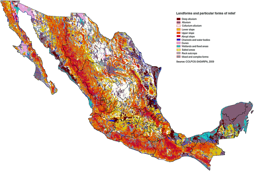 Factors of Soil Formation | SpringerLink