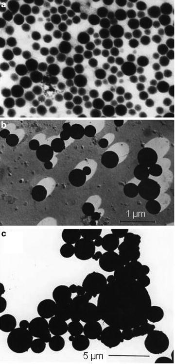 Plastoglobuli, Thylakoids, Chloroplast Structure and Development of ...