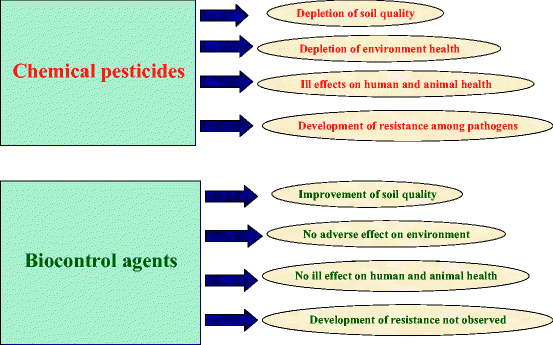Biocontrol of Plant Pathogens Using Plant Growth Promoting Bacteria ...