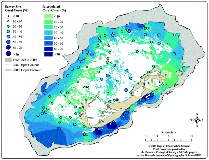 Total Economic Value of Bermuda’s Coral Reefs: A Summary | SpringerLink