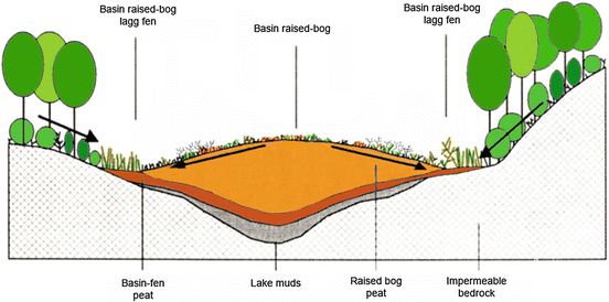 Peatland (Mire Types): Based on Origin and Behavior of Water, Peat ...